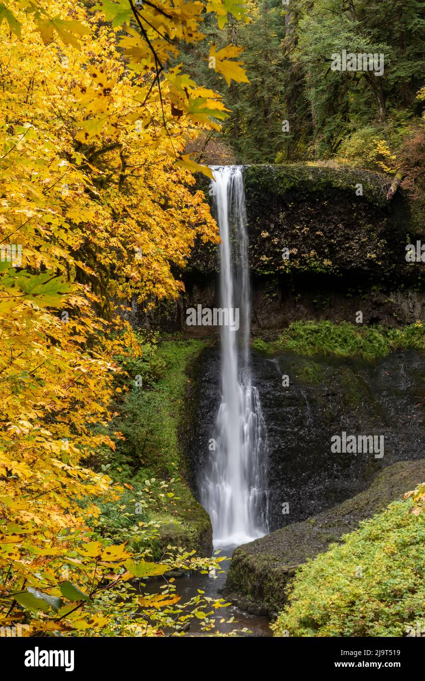 USA, Oregon, Silver Falls State Park. Lower South Falls waterfall ...