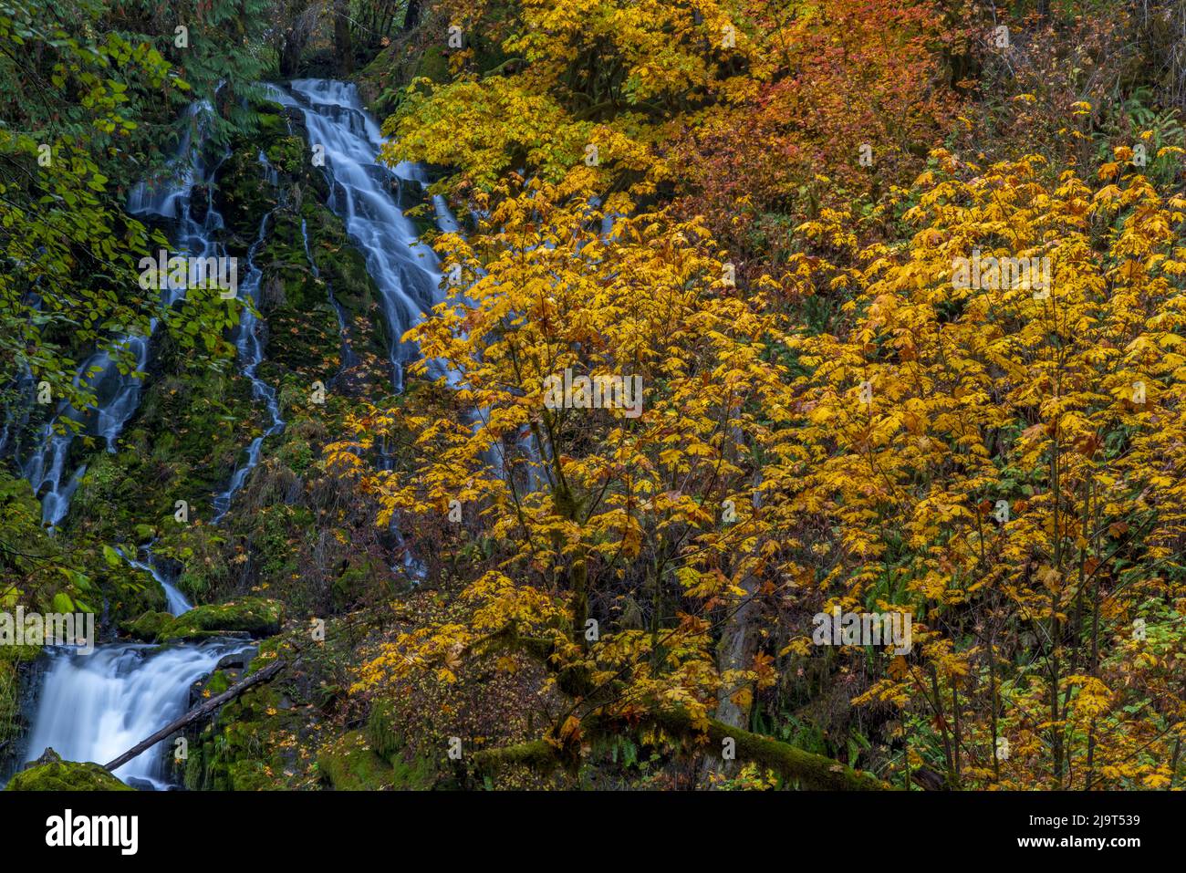 Fishhawk falls hi-res stock photography and images - Alamy