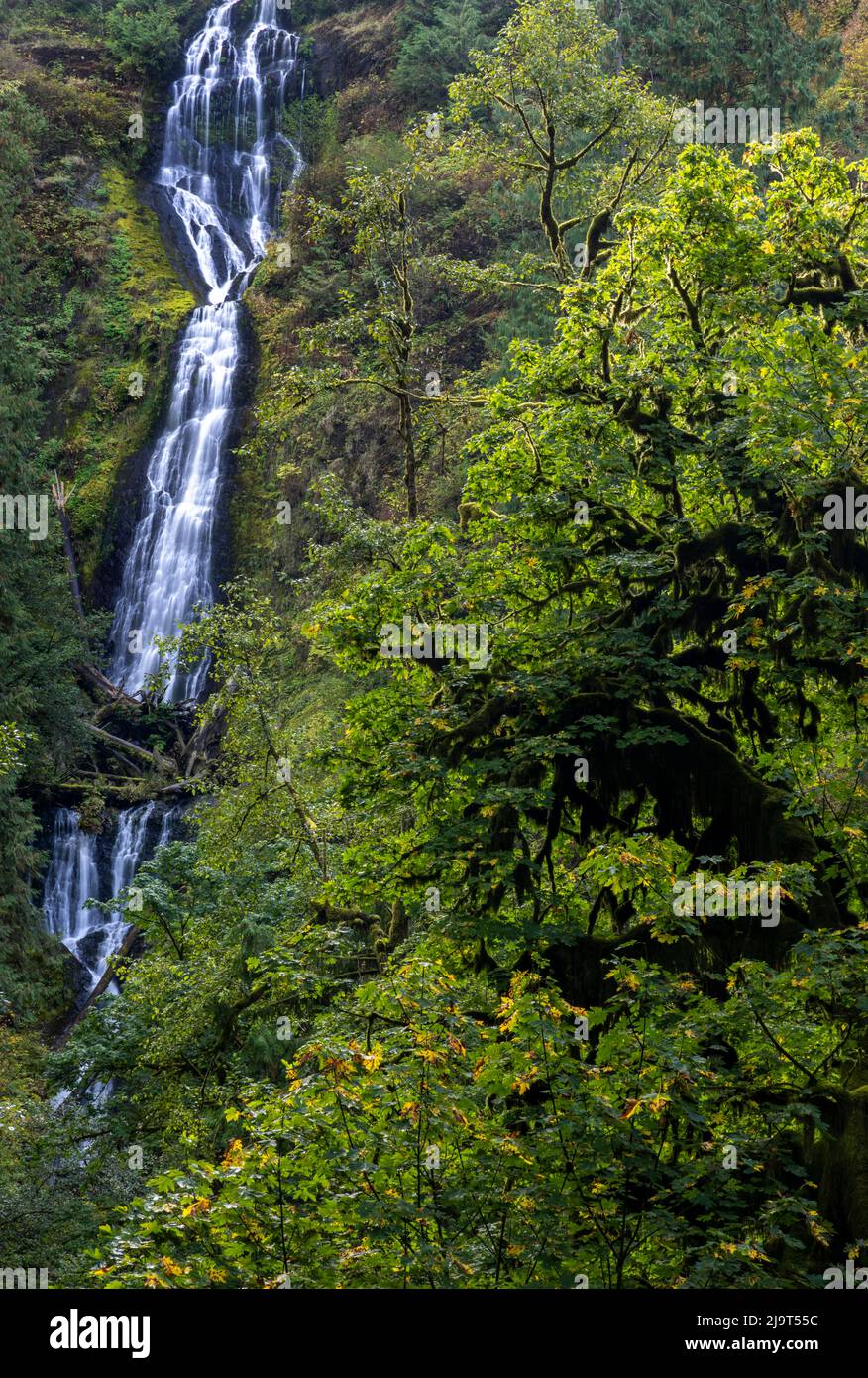 Munson creek falls oregon hi-res stock photography and images - Alamy