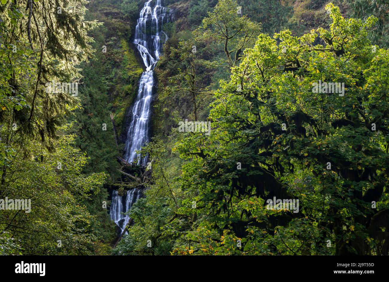 Munson creek falls oregon hi-res stock photography and images - Alamy