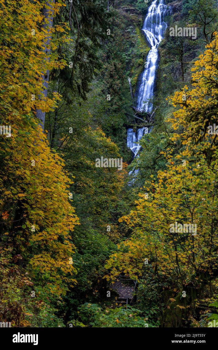 Munson creek falls state natura hi-res stock photography and images - Alamy