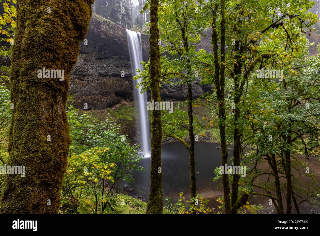South Falls at Silver Falls State Park near Sublimity, Oregon, USA ...
