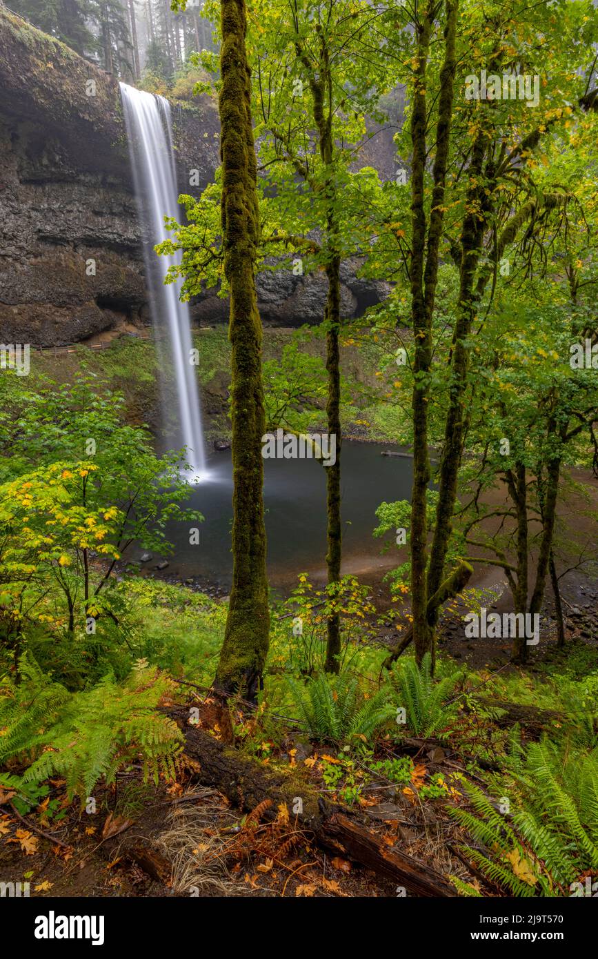 South Falls at Silver Falls State Park near Sublimity, Oregon, USA ...