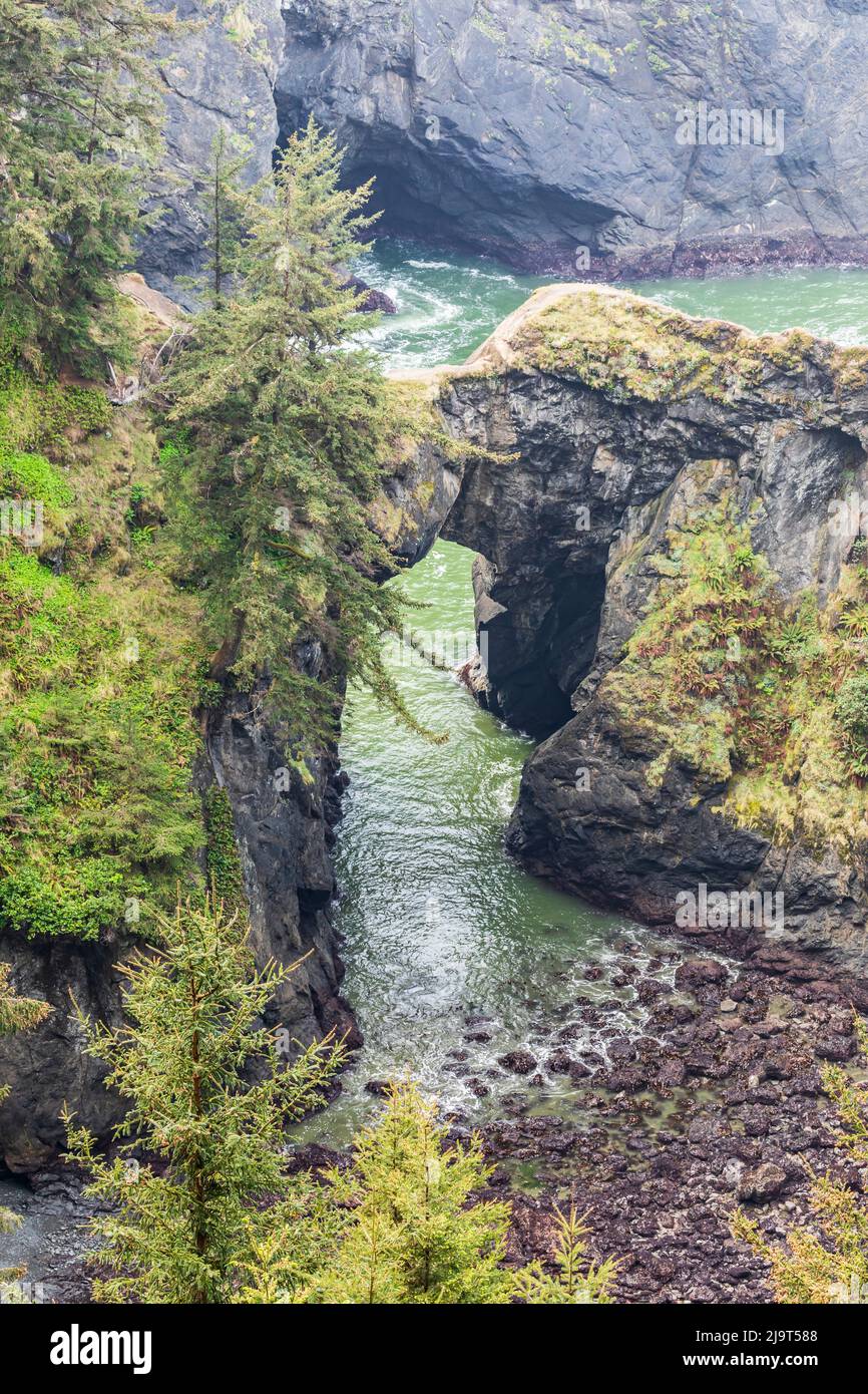 Natural Bridges Viewpoint, Oregon, USA. View of the Natural Bridges on ...