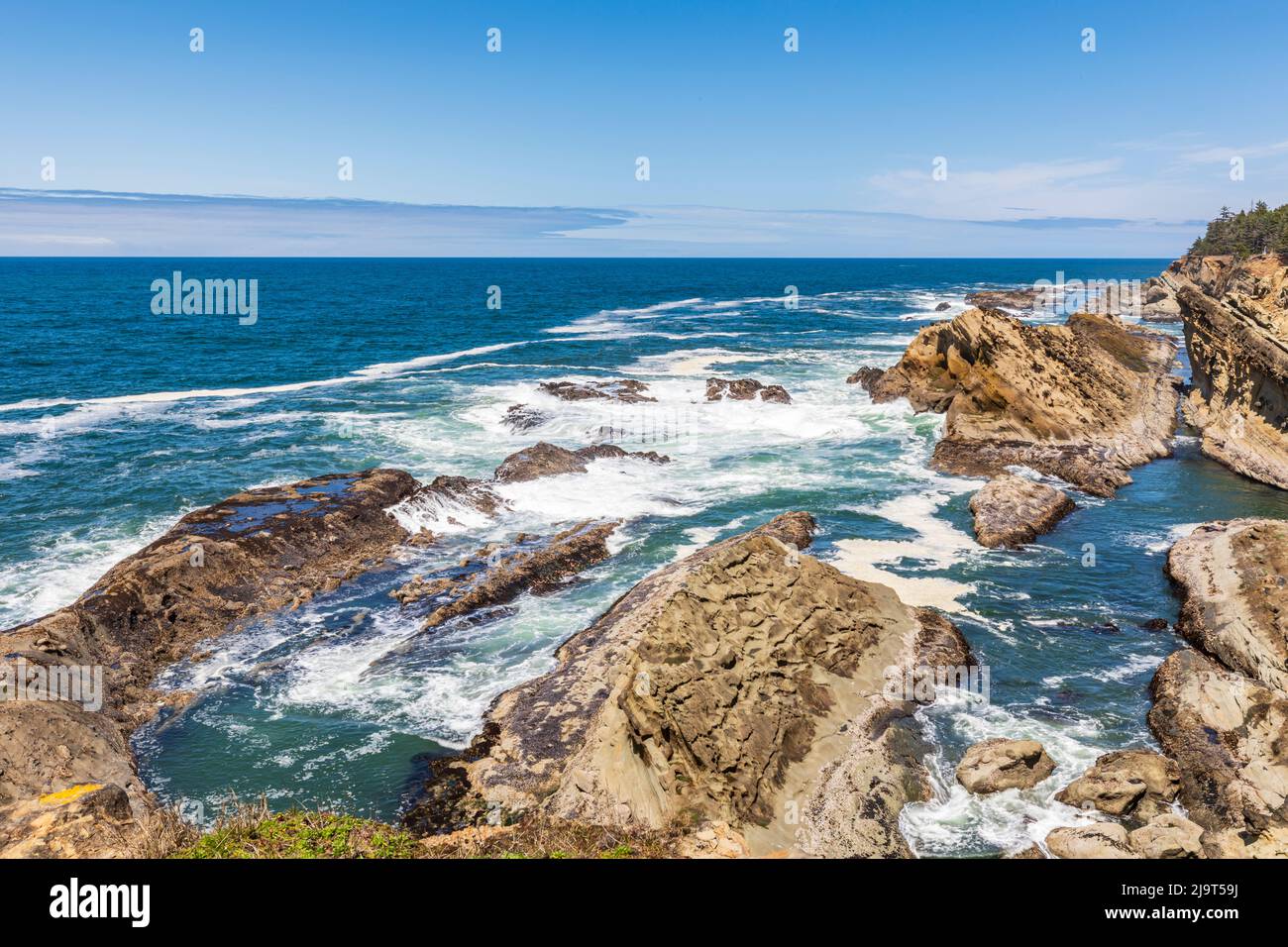 Shore Acres State Park, Oregon, USA. Surf and cliffs on the Oregon ...