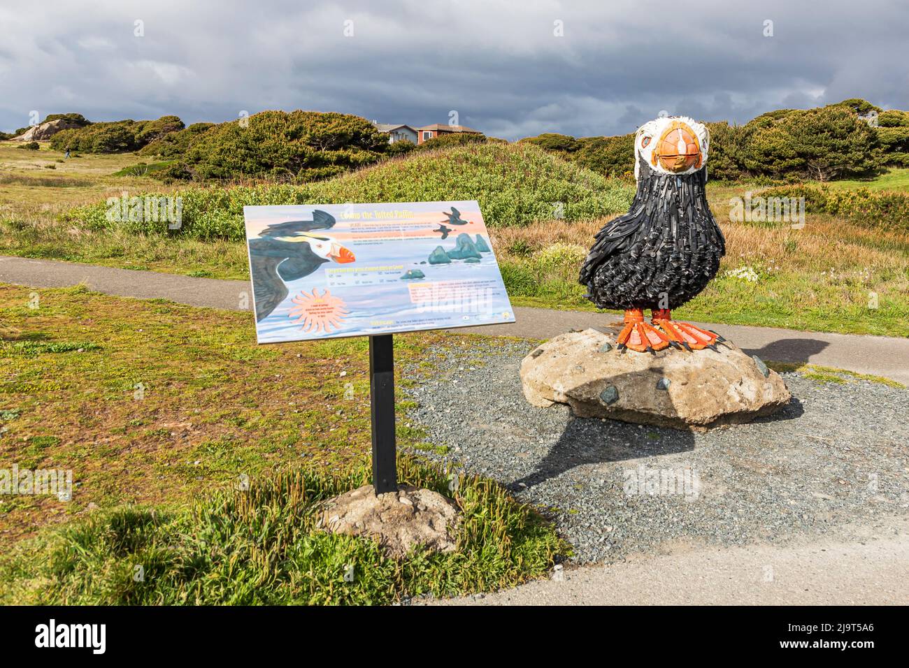 Bandon, Oregon, USA. Tufted Puffin sculpture in on the Oregon coast ...