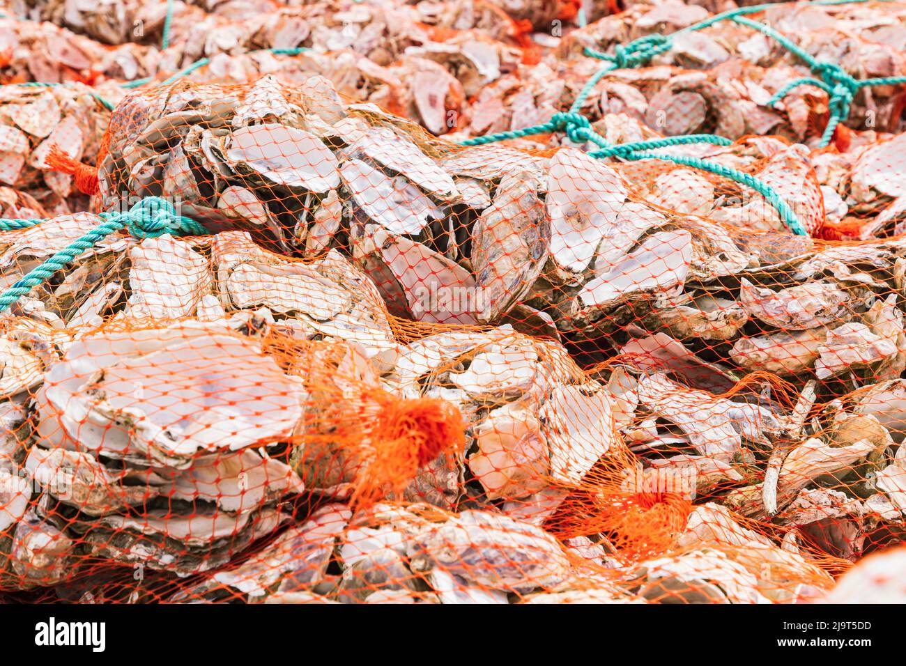 Garibaldi, Oregon, USA. Pallets of oyster shells in Garibaldi, Oregon ...