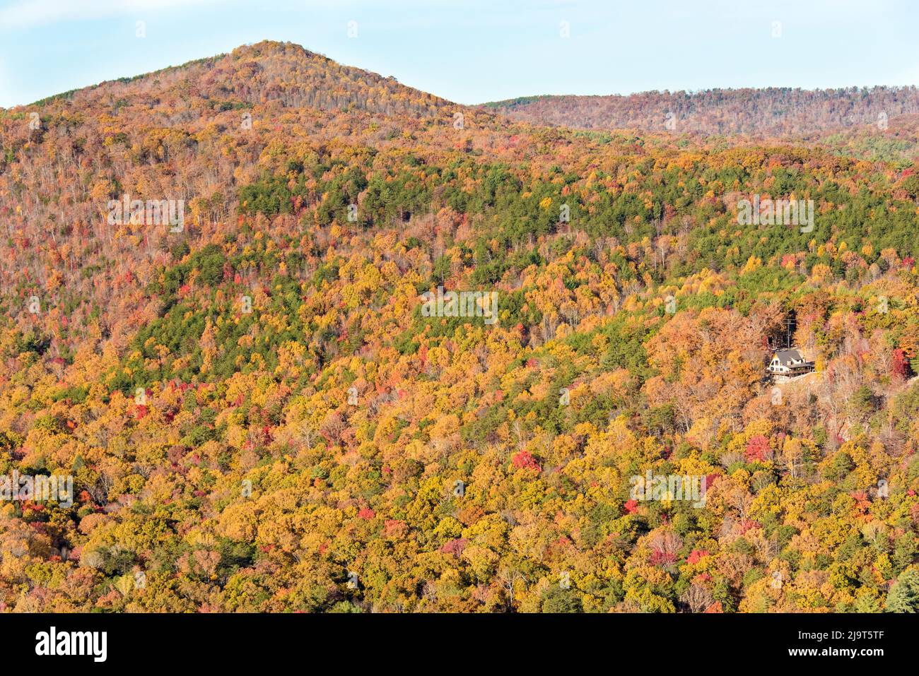 USA, Tennessee. Deciduous fall color and evergreens, Appalachian ...