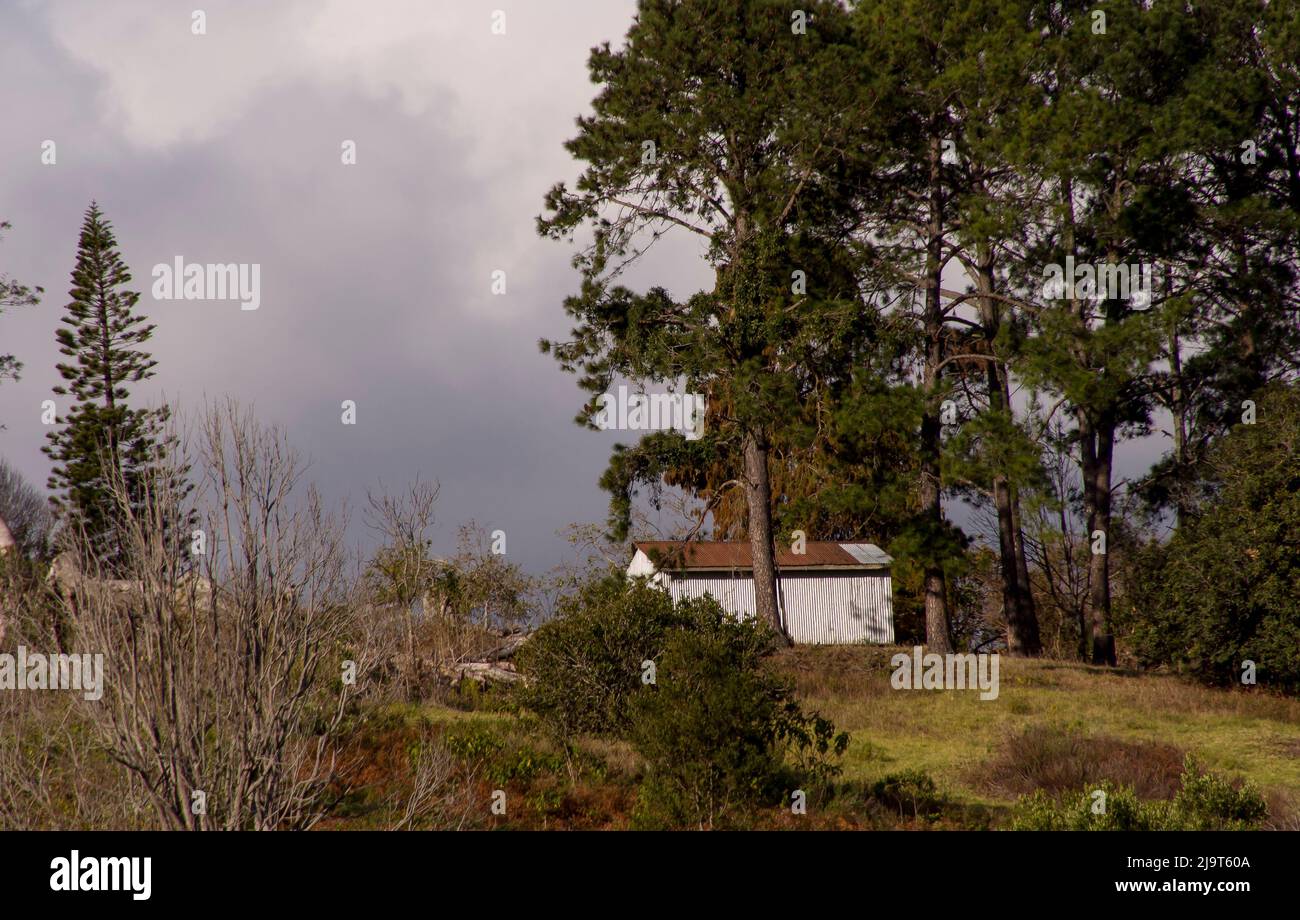 Shed with trees hi-res stock photography and images - Alamy