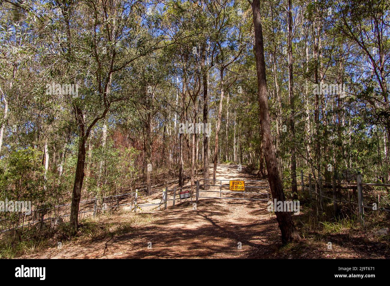 End of the road in eucalypt forest. Gate blocking rough track. No ...