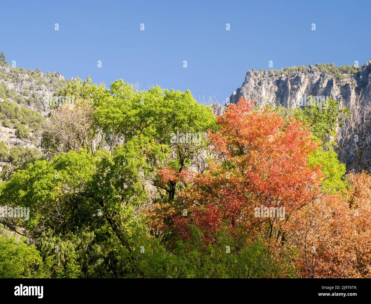 Utah fall color hi-res stock photography and images - Alamy