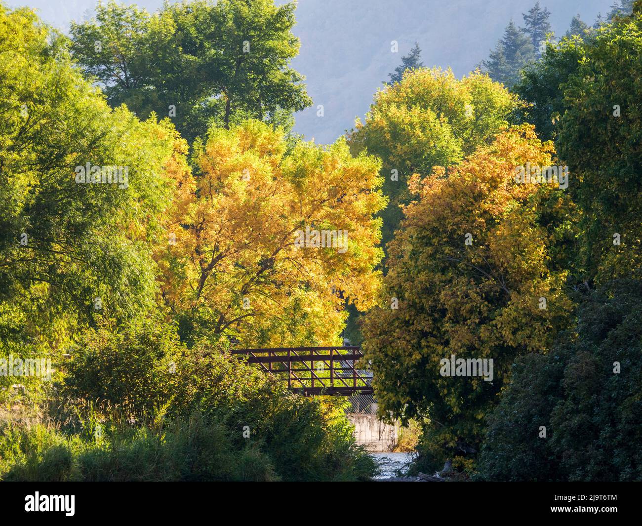 Logan river hi-res stock photography and images - Alamy
