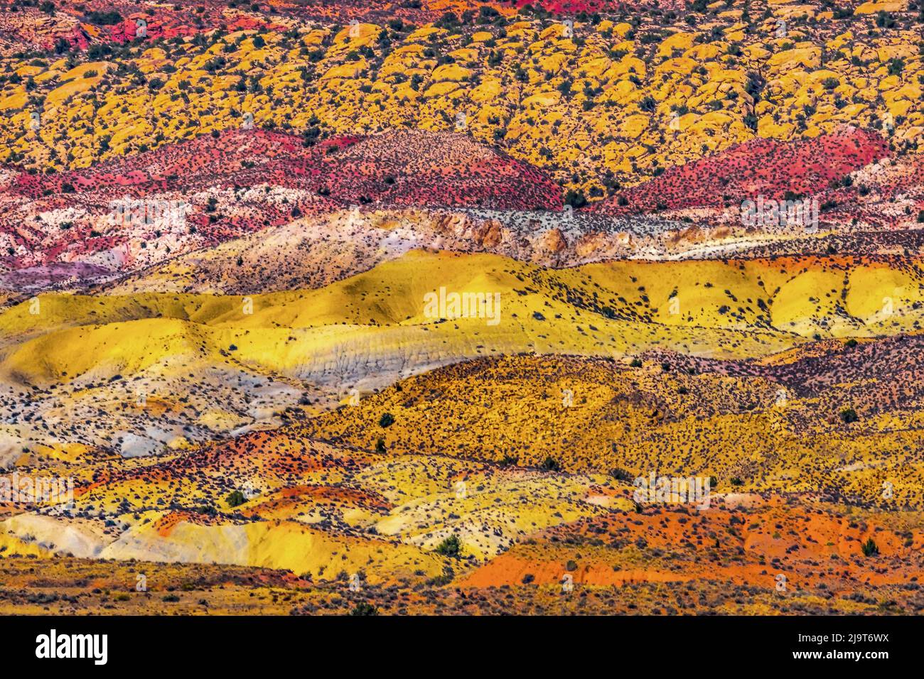 Painted Desert Colorful Abstract Yellow Grass Lands Orange Sandstone ...