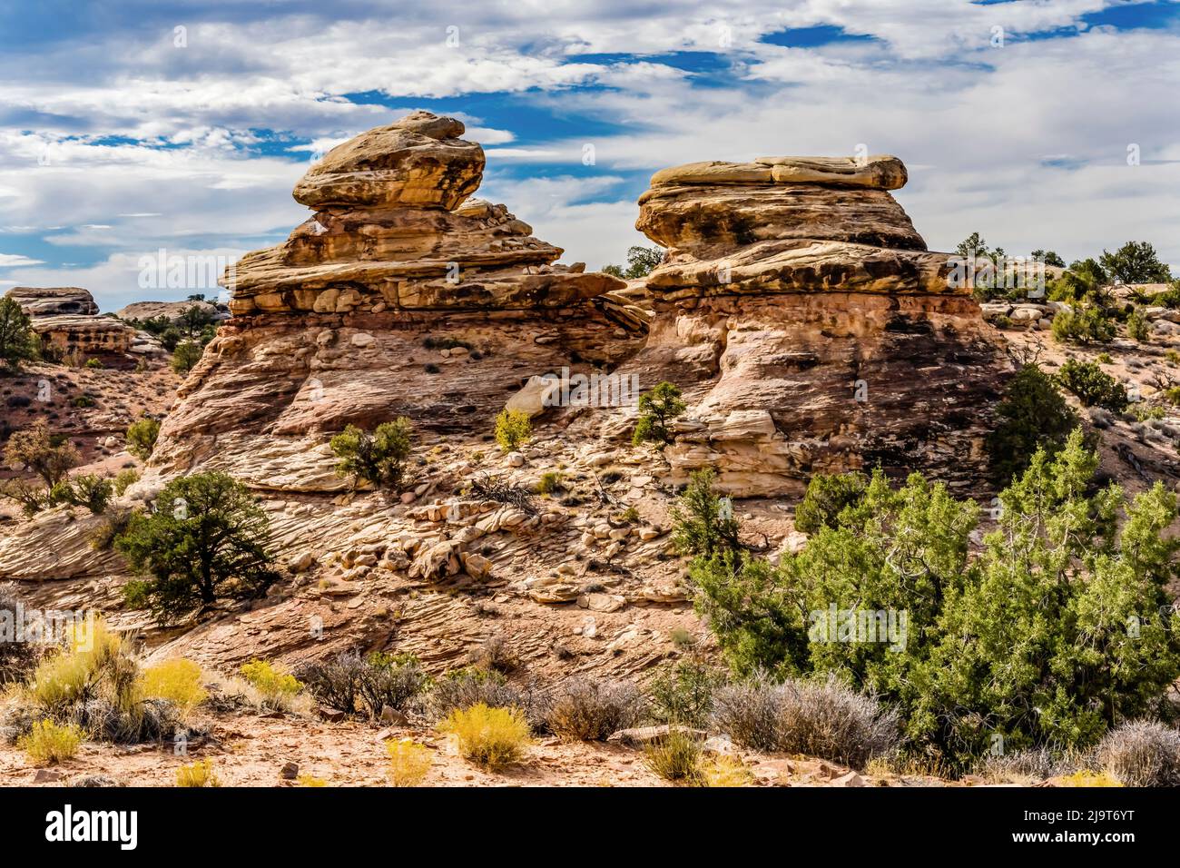 Rock formations, Canyonlands National Park, Needles District, Utah ...