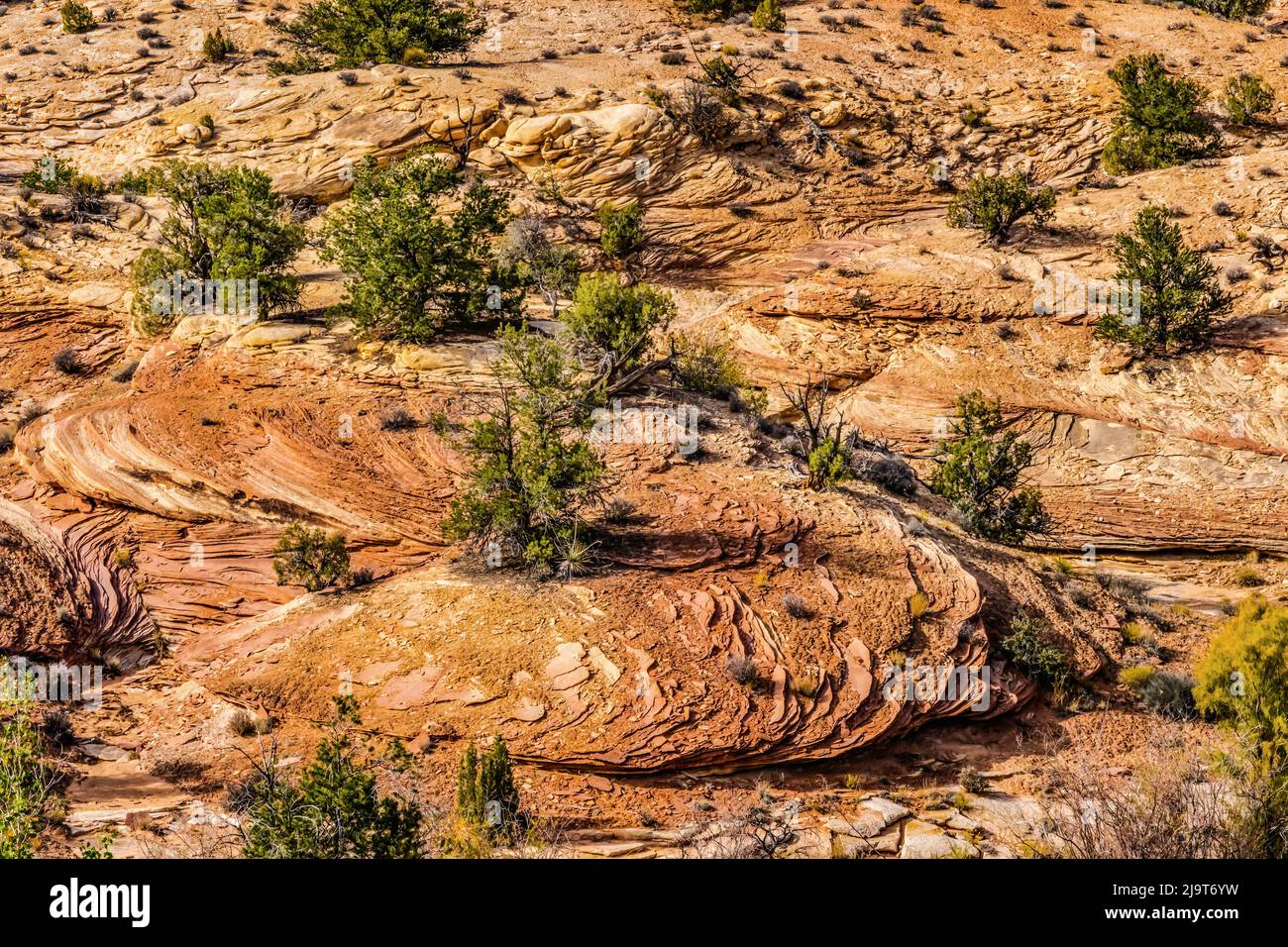 Circular rock patterns, Canyonlands National Park, Needles District ...