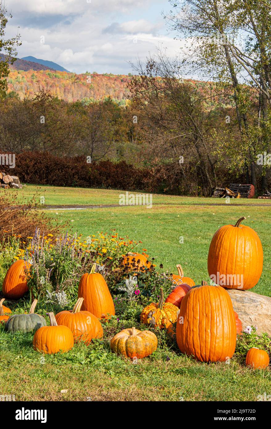 Alison hill hi-res stock photography and images - Alamy