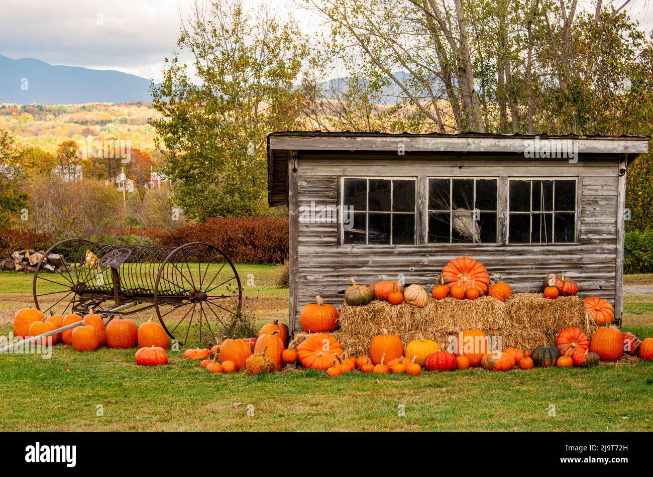 Alison hill hi-res stock photography and images - Alamy