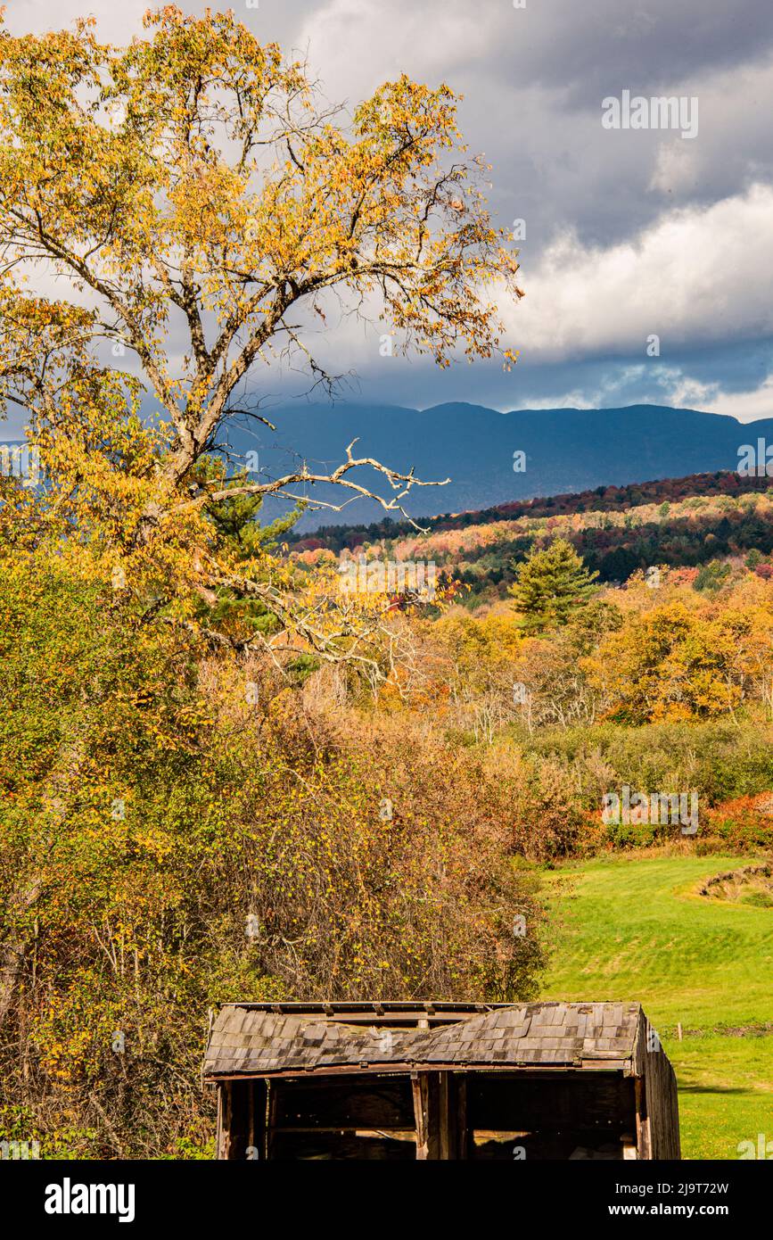 USA, Vermont, Moscow, fall foliage Stock Photo - Alamy