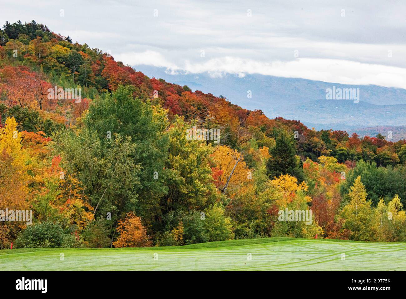 USA, Vermont, Fall foliage on Mount Mansfield Stock Photo - Alamy