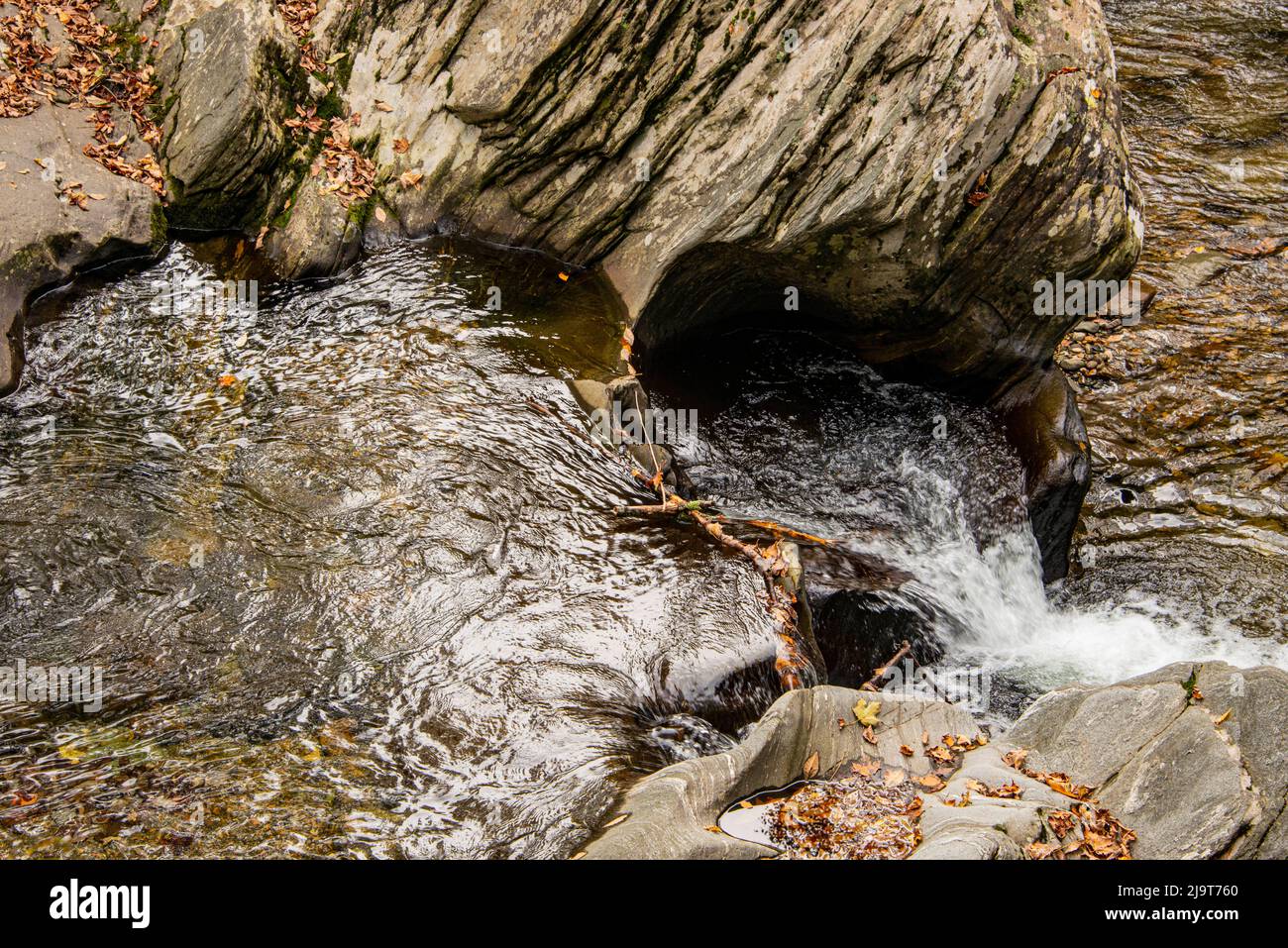 USA, Vermont, Fall foliage in Mad River Valley along trail to Warren ...