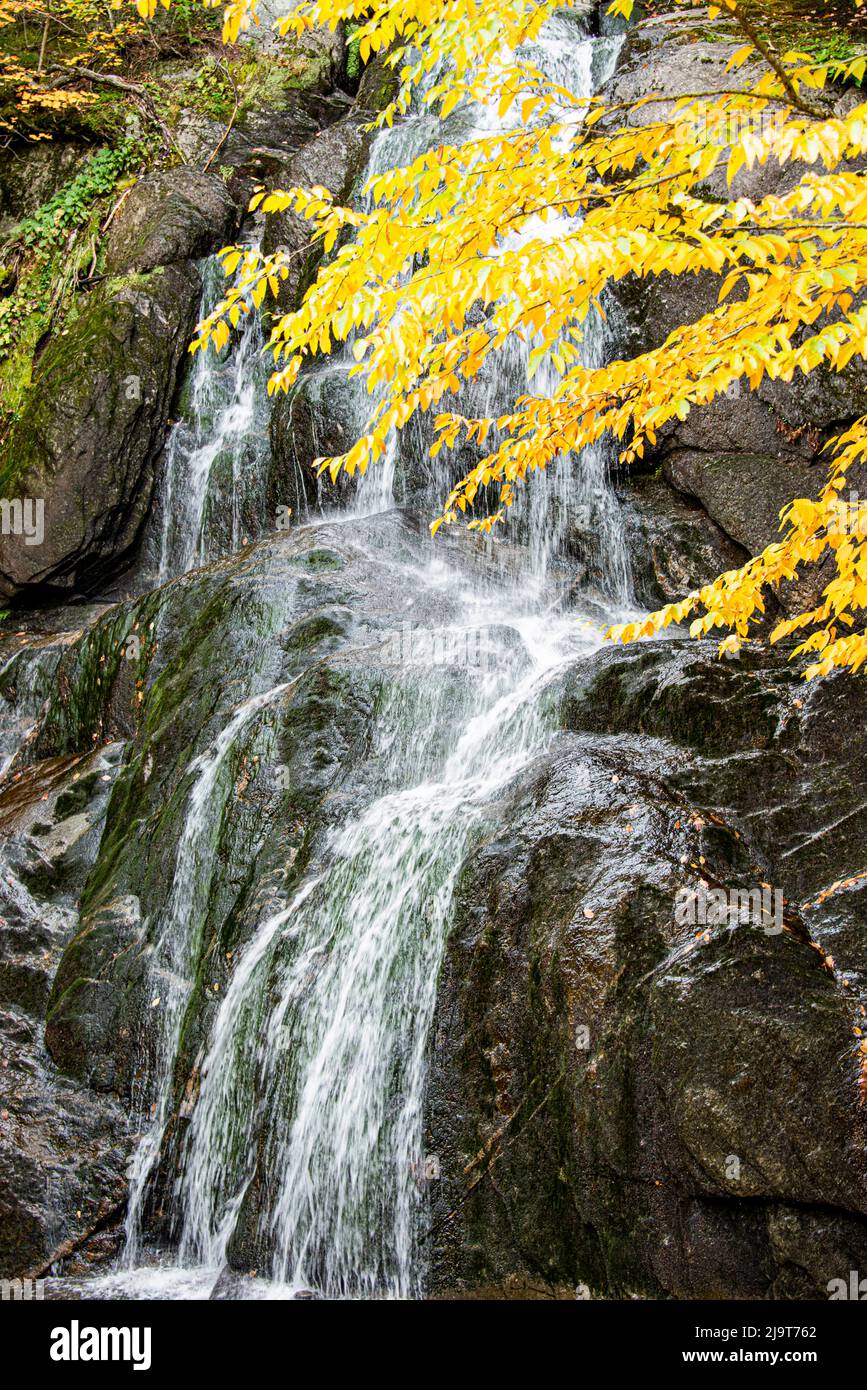 USA, Vermont, Fall foliage in Mad River Valley along trail to Warren ...