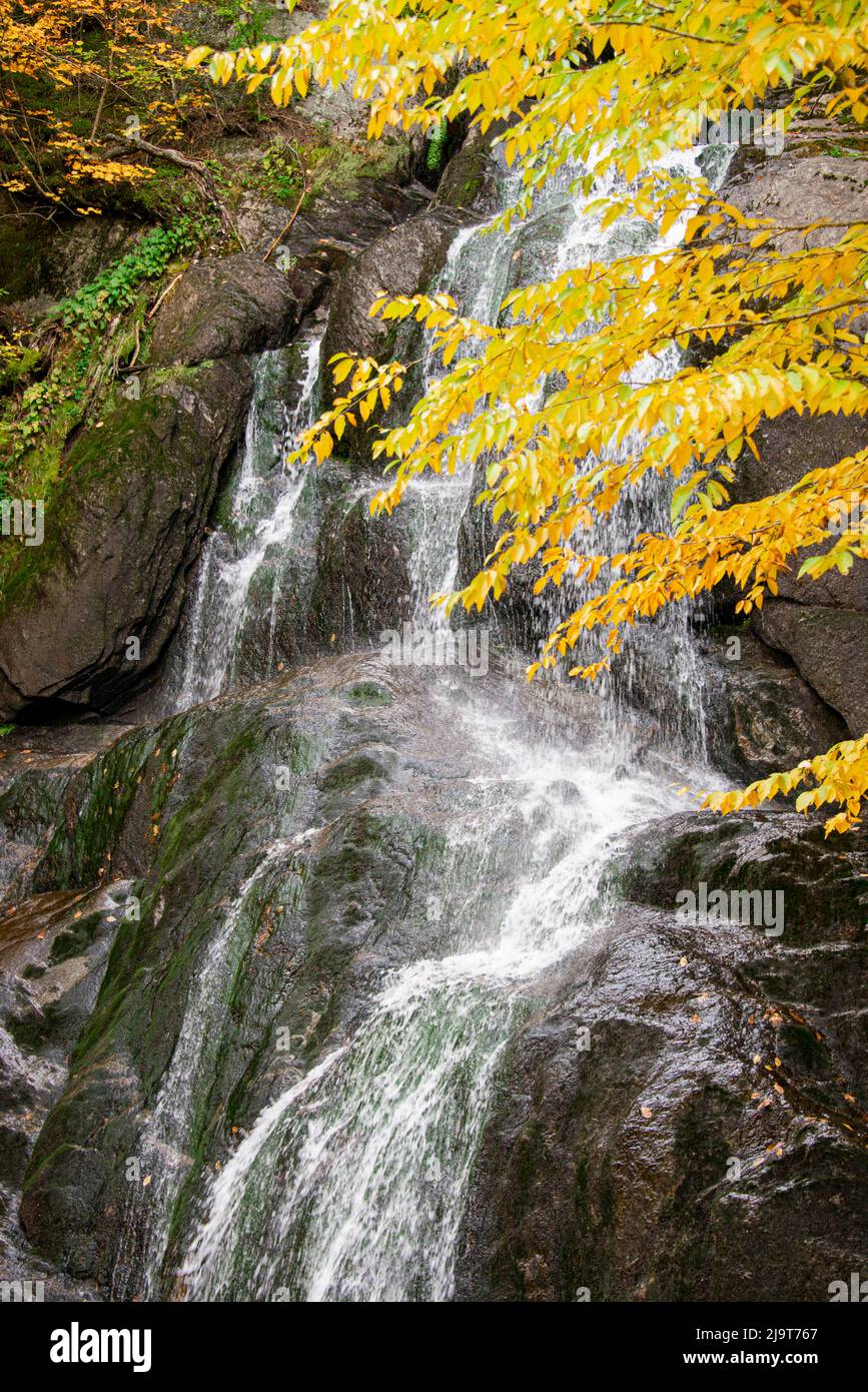 USA, Vermont, Fall foliage in Mad River Valley along trail to Warren ...