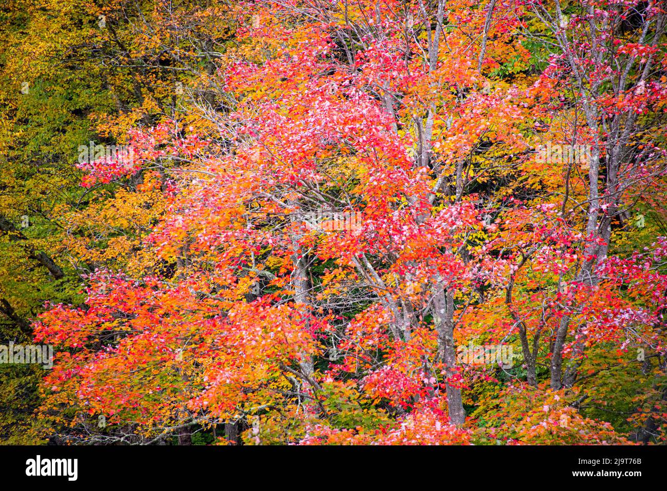 Middlebury college vermont hi-res stock photography and images - Alamy