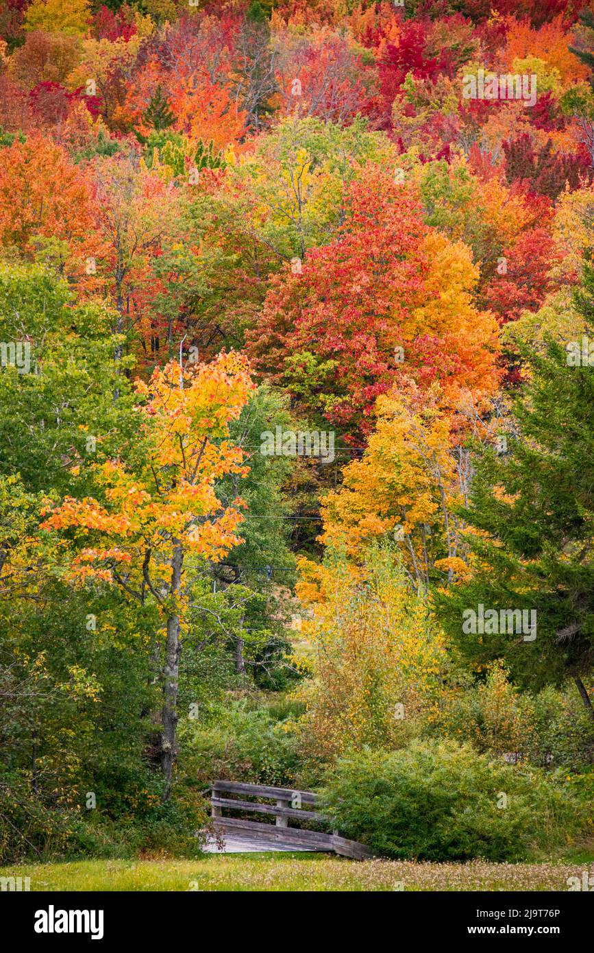 USA, Vermont, Fall foliage in Green Mountains at Bread Loaf, owned by ...