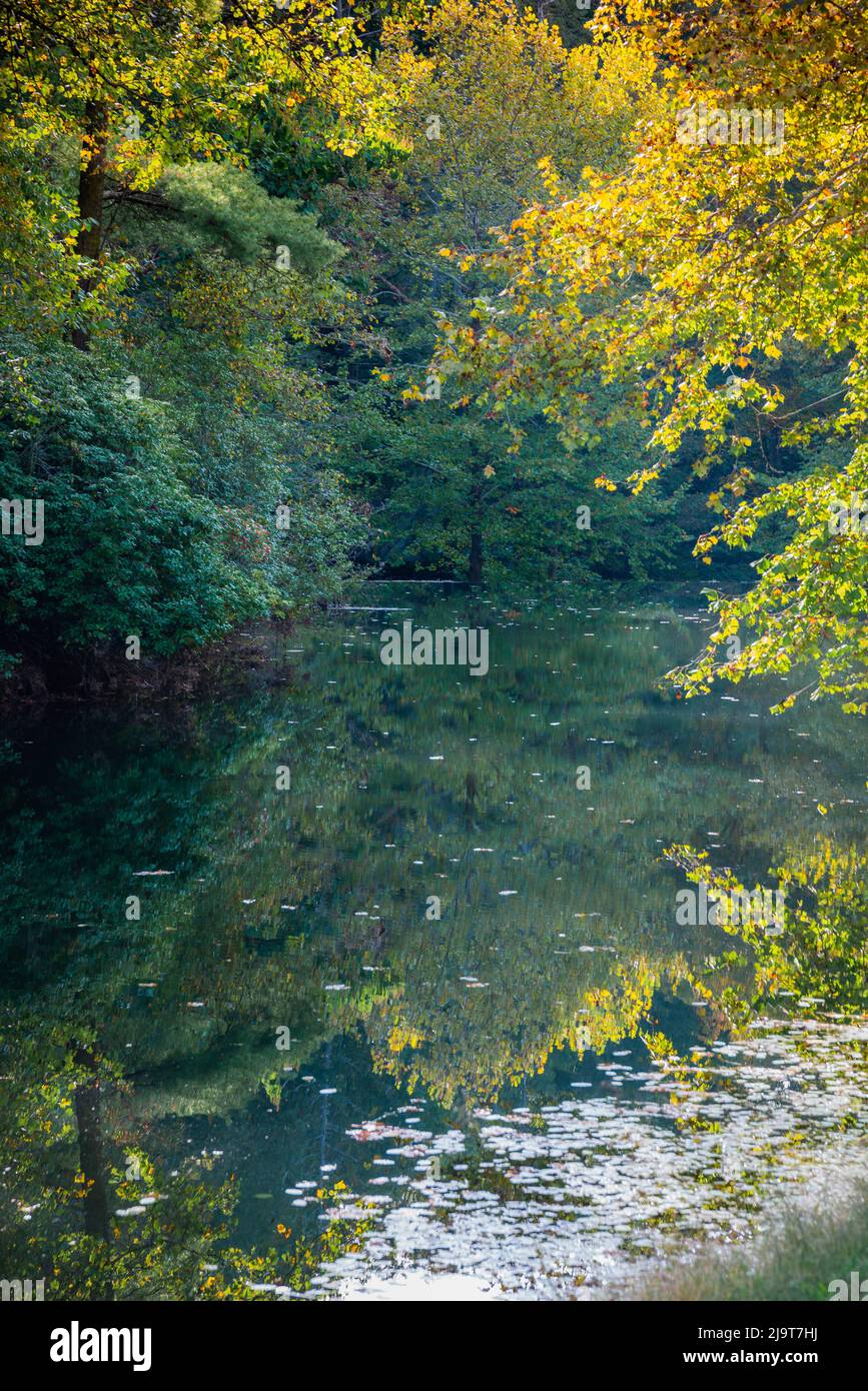 Lake anna virginia hi-res stock photography and images - Alamy