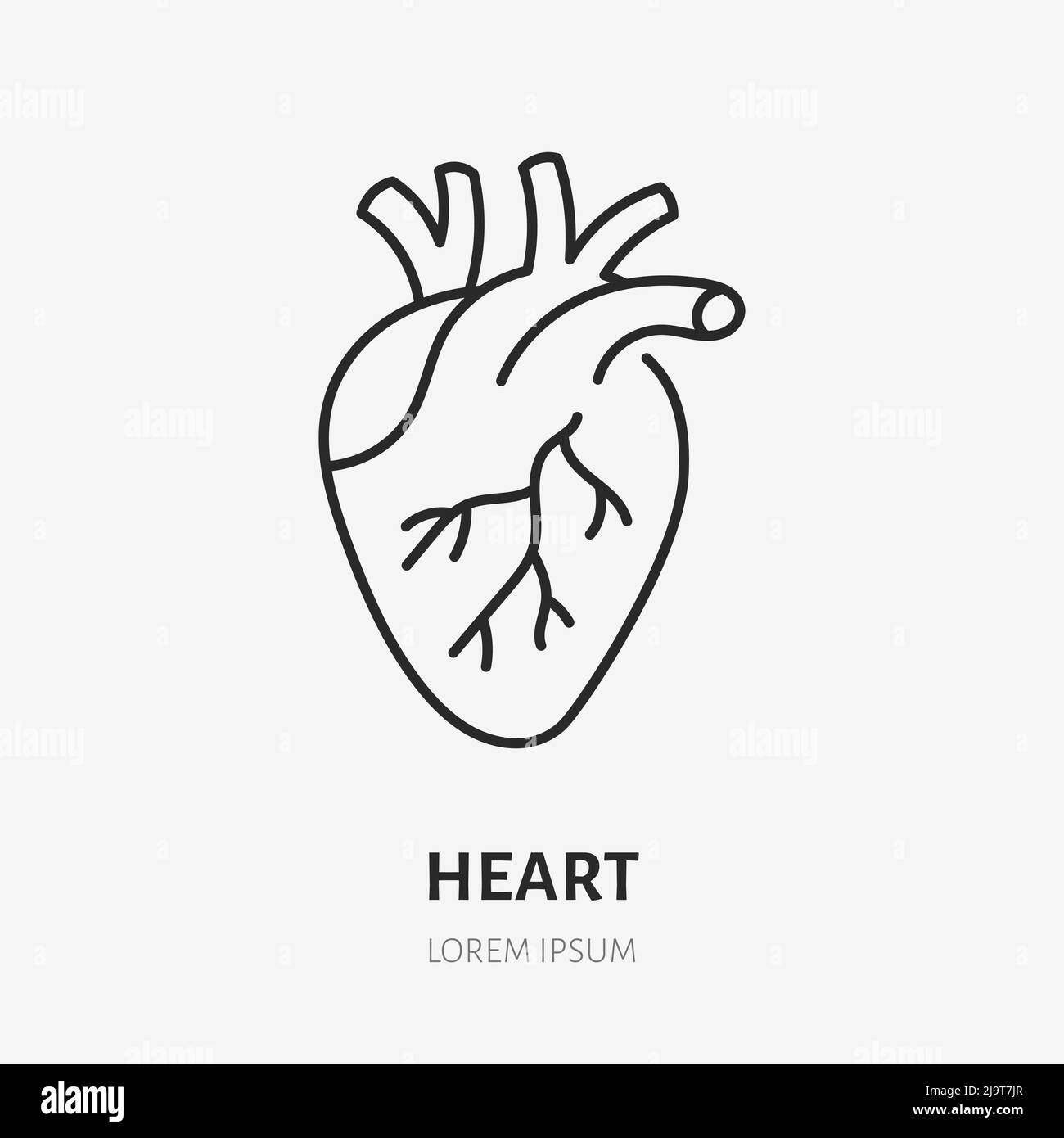 Heart and cardiovascular system vector hi-res stock photography and ...