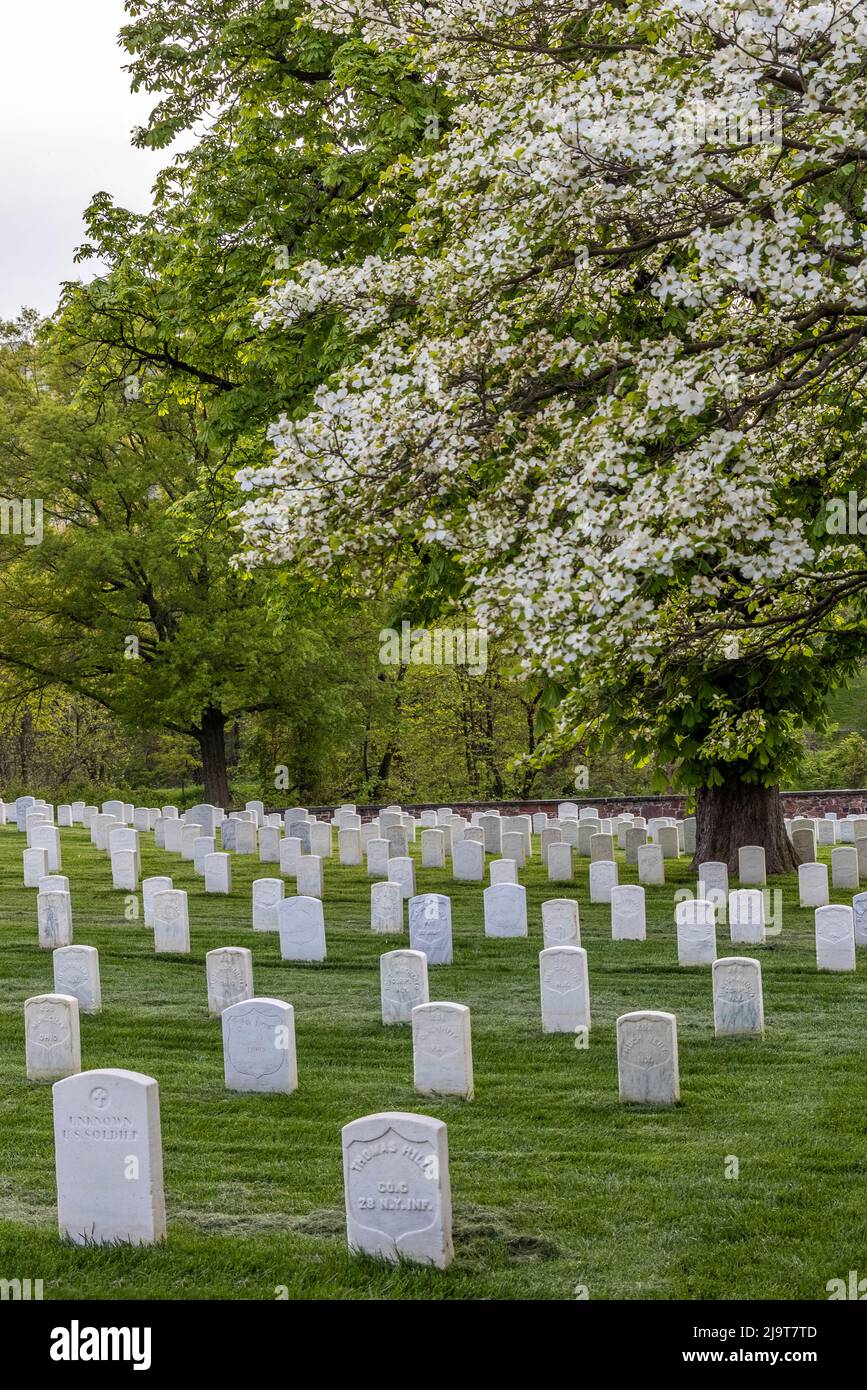 Usa, Virginia. Alexandria National Cemetery, Graves of the National ...