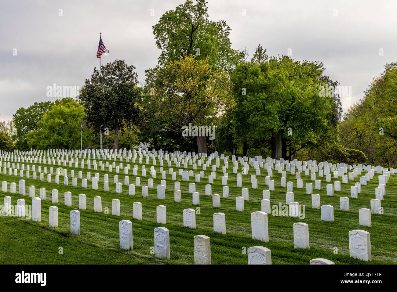 Usa, Virginia. Alexandria National Cemetery, Graves of the National ...