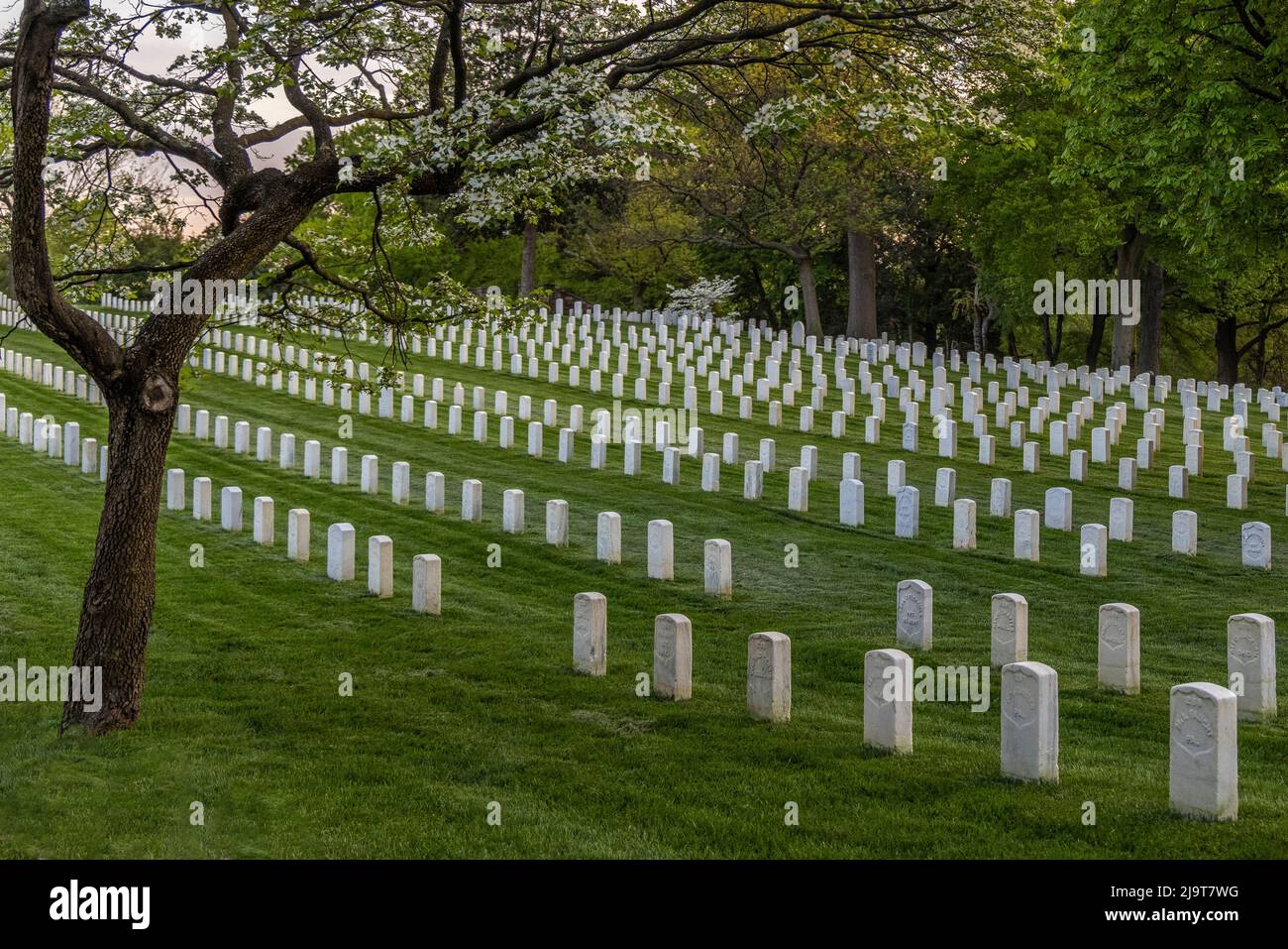 Usa, Virginia. Alexandria National Cemetery, Graves of the National ...
