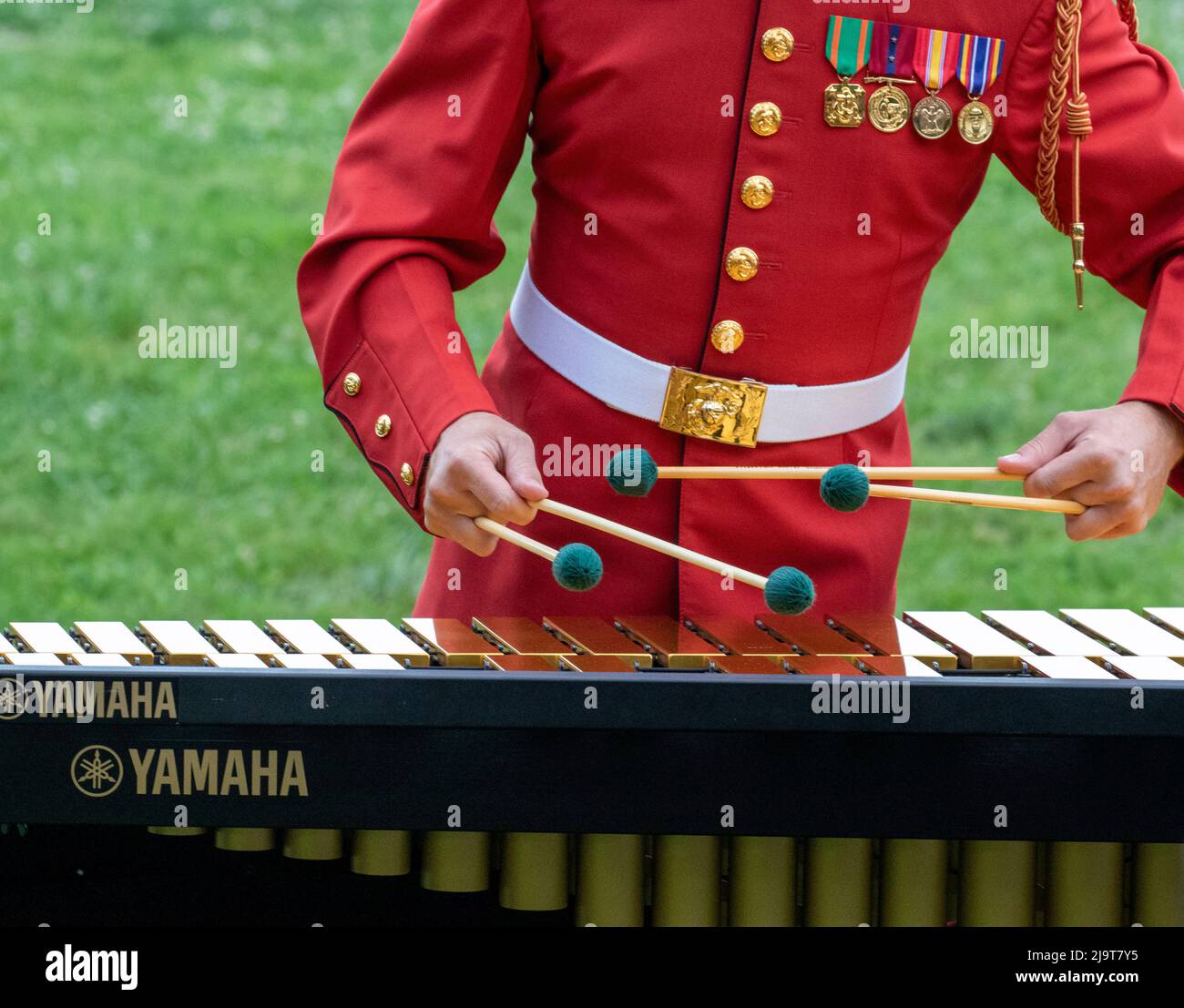 Xylophone parade hi-res stock photography and images - Alamy