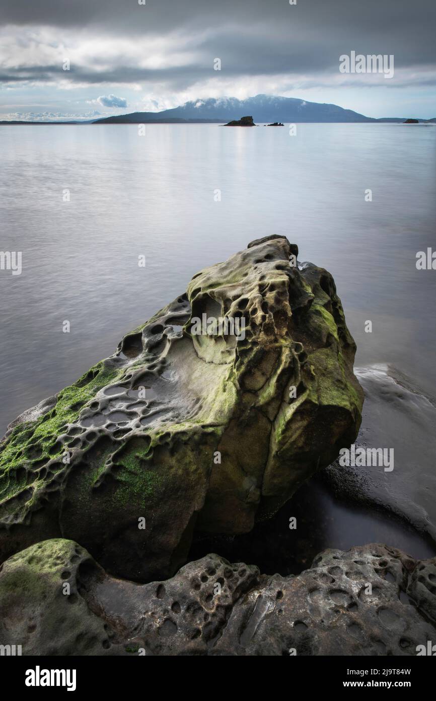 Samish Bay Wildcat Cove Larrabee State Park, Washington State Stock ...