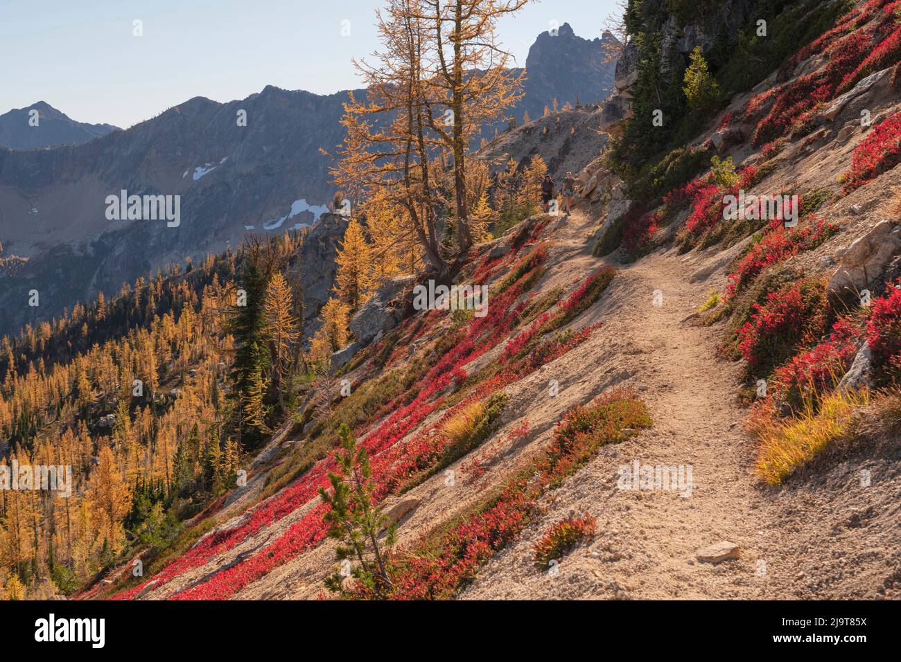 Pacific Crest Trail near Granite Pass. North Cascades, Washington State ...
