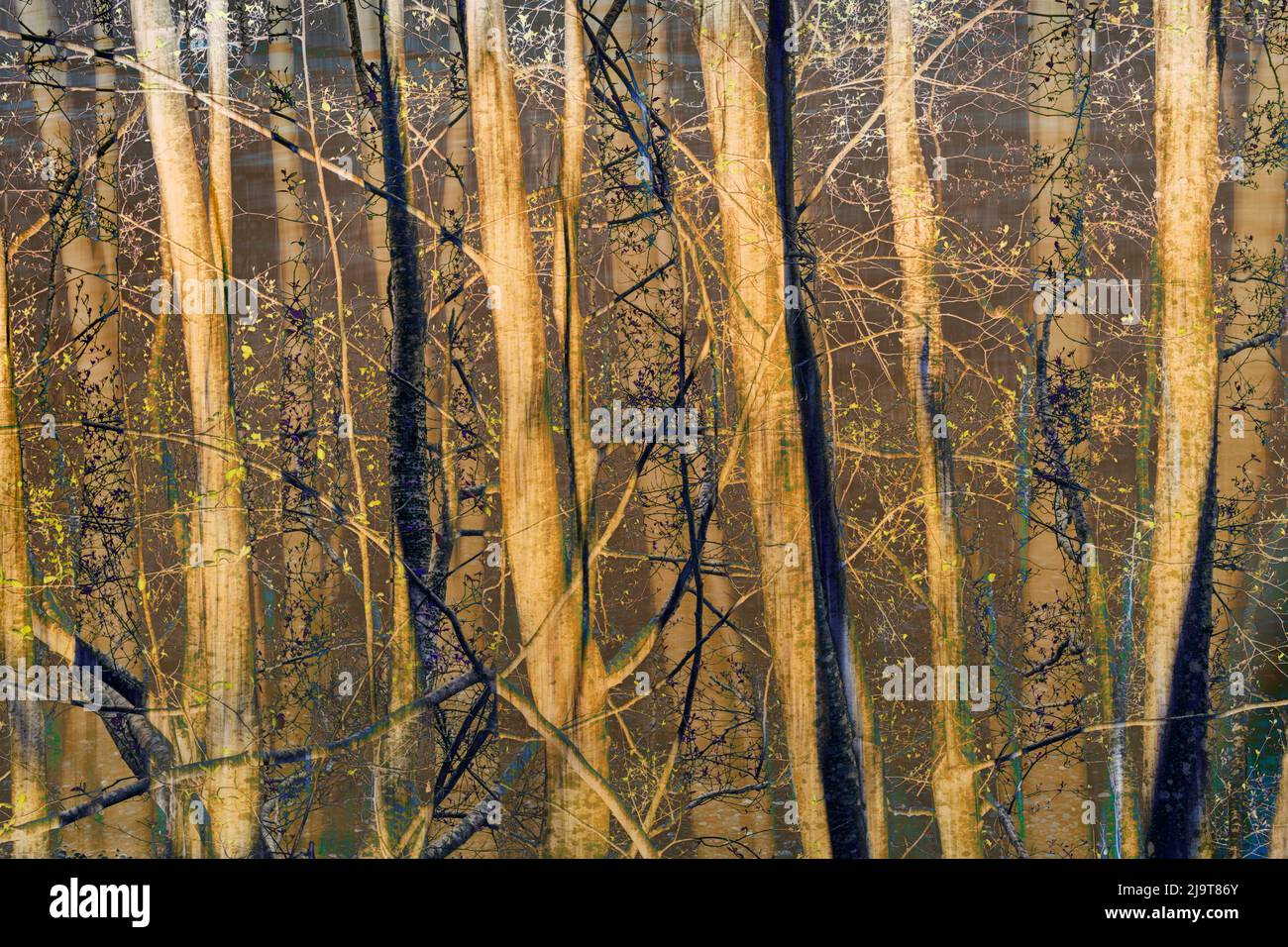 Don alder hi-res stock photography and images - Alamy