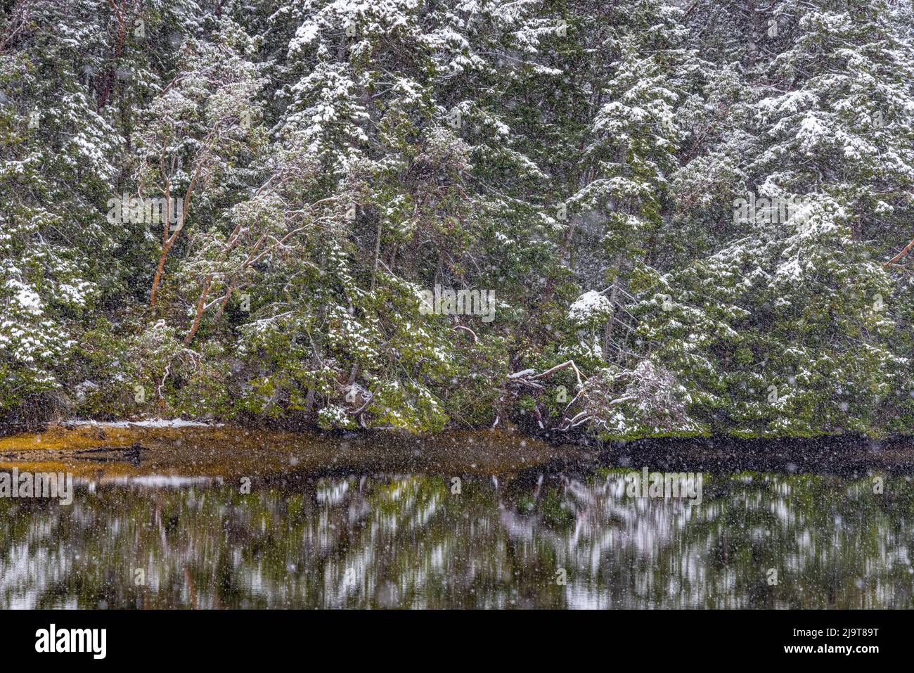 Misery point preserve hi-res stock photography and images - Alamy