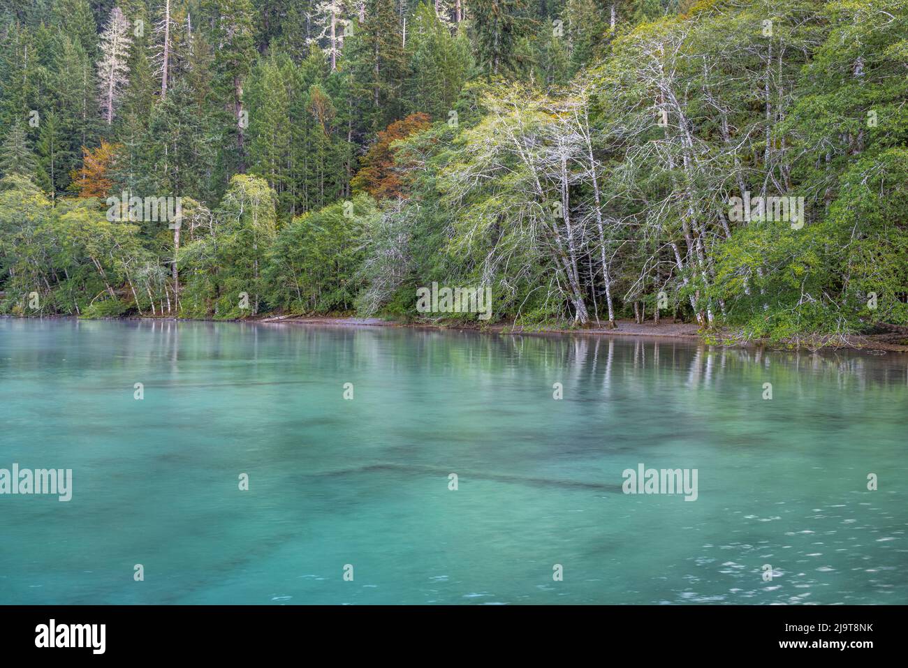 Alder lake park hi-res stock photography and images - Alamy