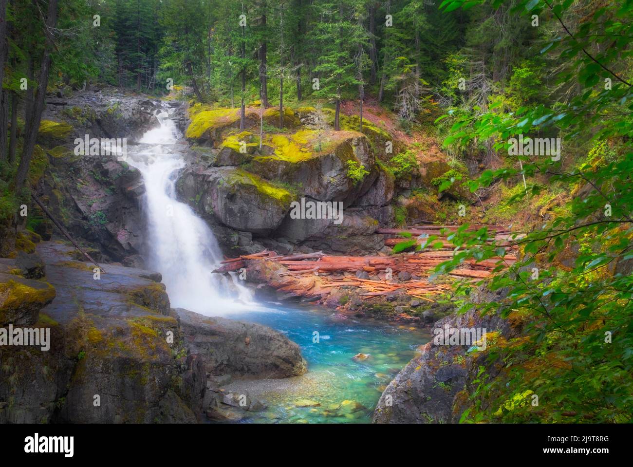 USA, Washington State, Mt. Rainier National Park. Silver Falls on the ...