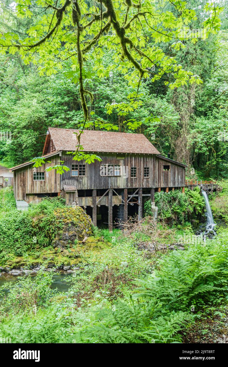 Woodland, Washington State, USA. The historic Cedar Creek Grist Mill ...