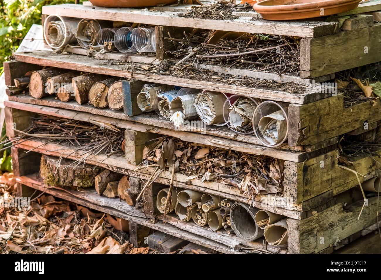 Insect hotel structure created natural hi-res stock photography and ...