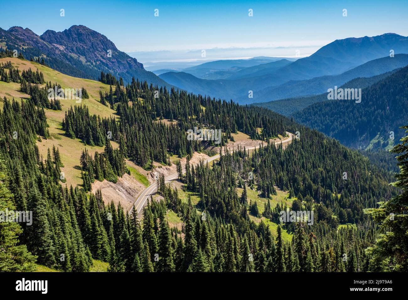 Hurricane Ridge, Olympic National Park, Washington State, USA. View of ...
