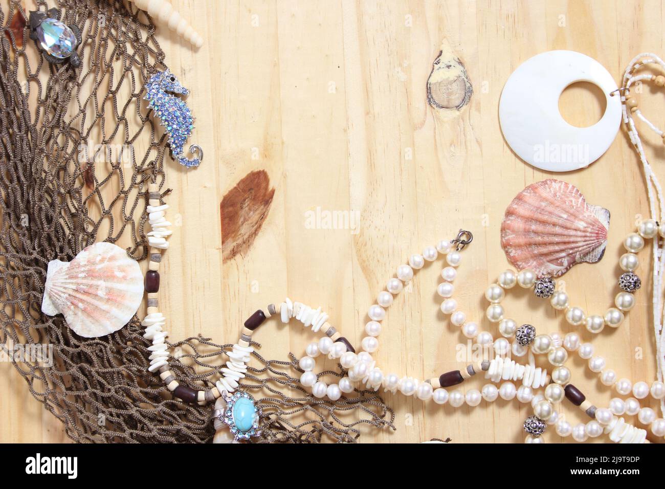Net of shells hi-res stock photography and images - Alamy