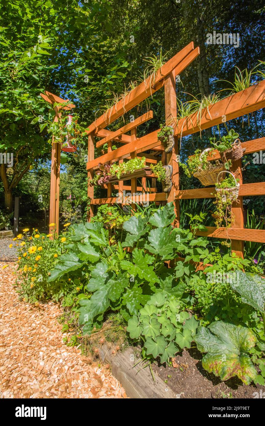 Bellevue, Washington State, USA. Vertical vegetable and flower garden ...