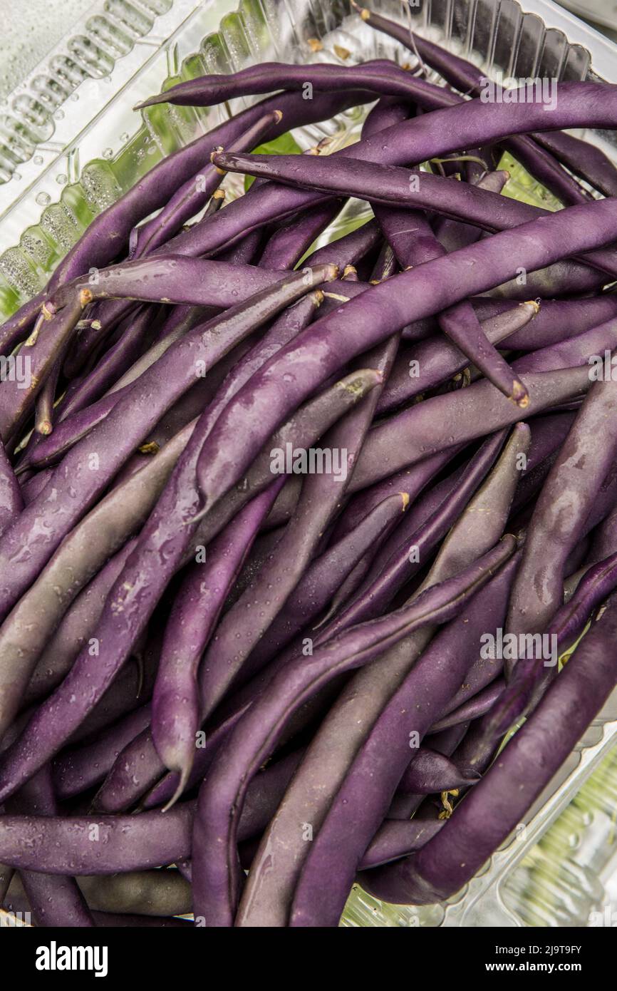 Violet podded pole beans hi-res stock photography and images - Alamy