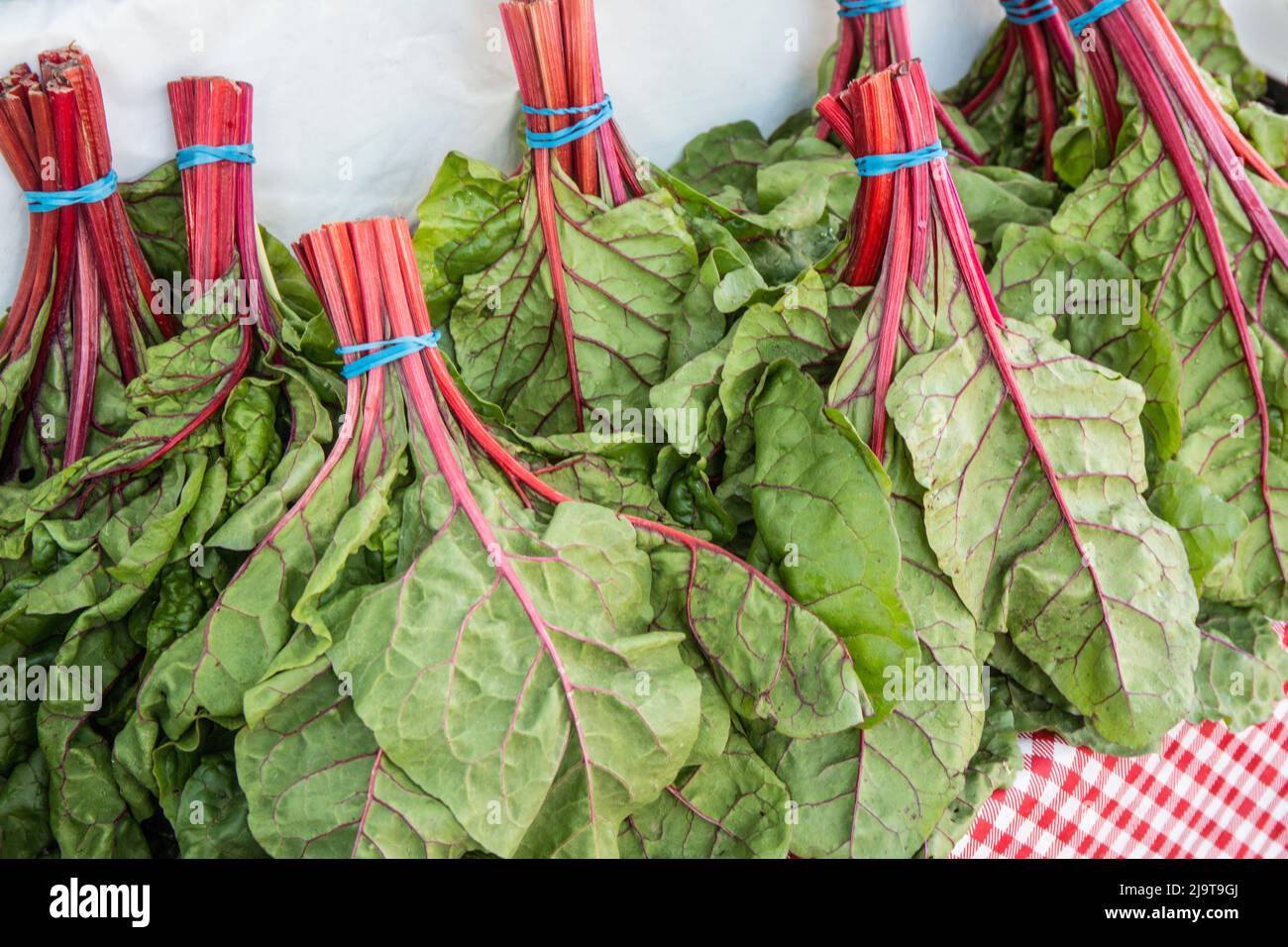 Issaquah, Washington State, USA. Bundles of Swiss Chard for sale at a ...