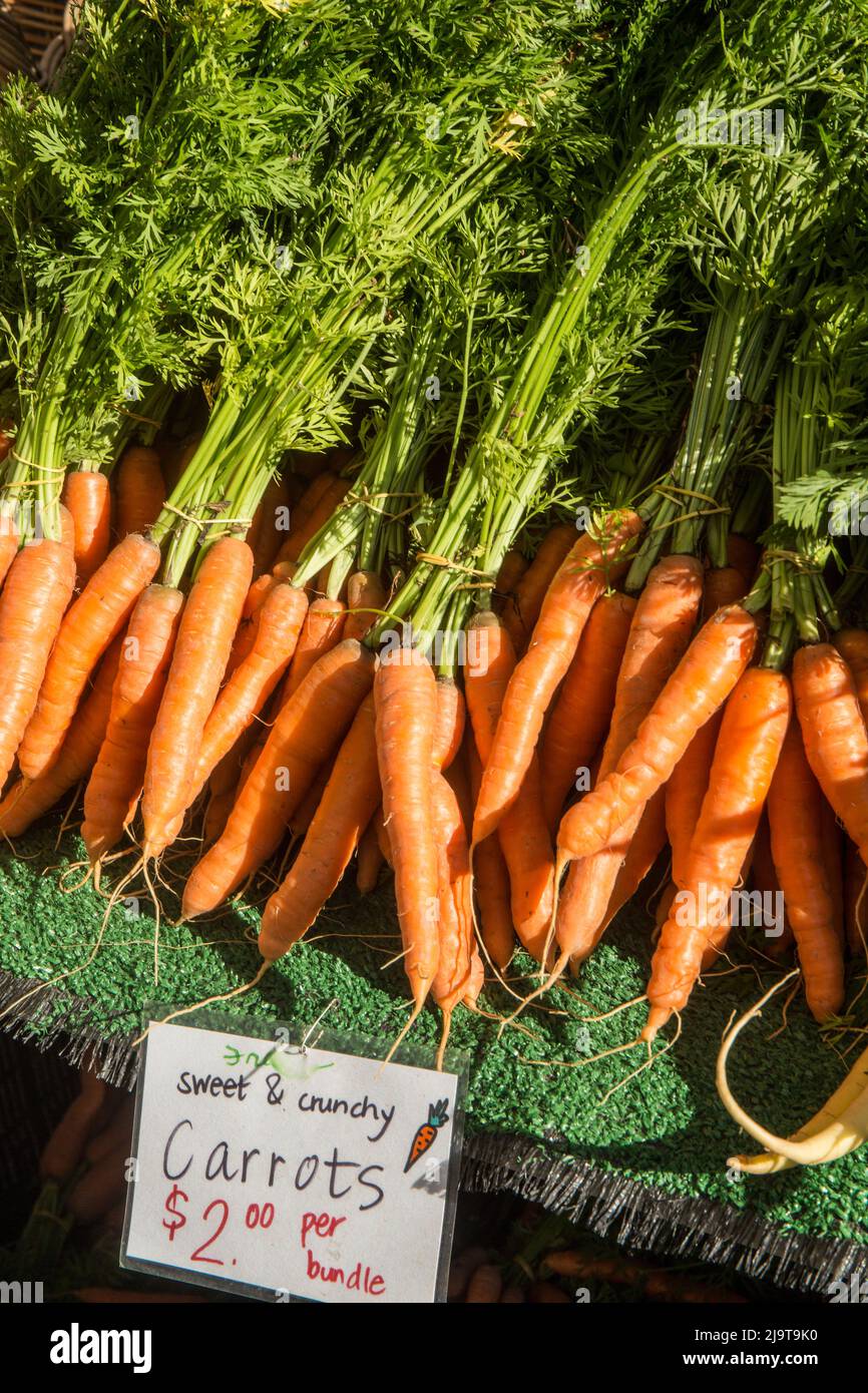 Issaquah, Washington State, USA. Pile of carrots for sale at a Farmers ...