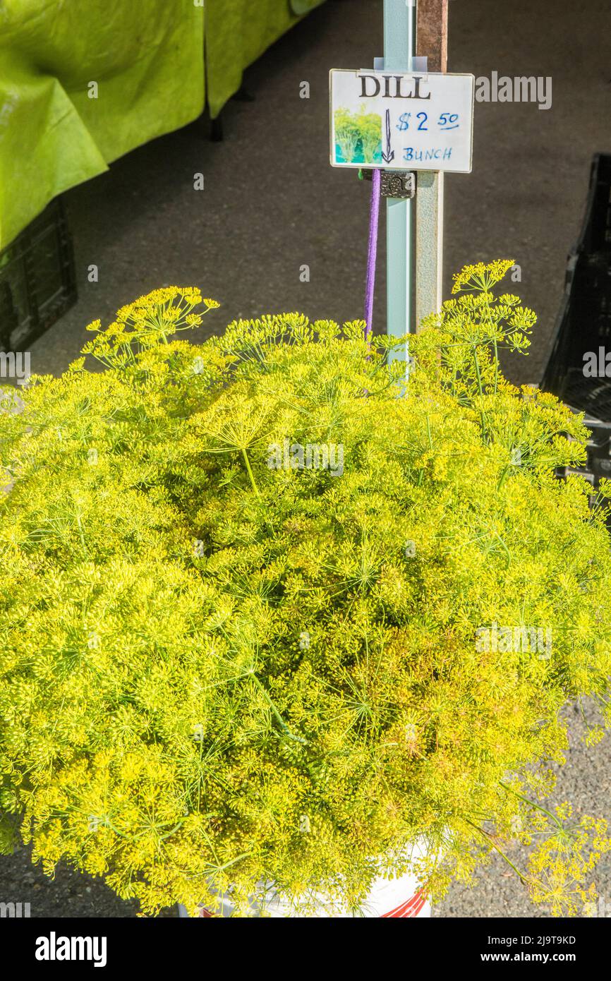 Issaquah sign hi-res stock photography and images - Alamy