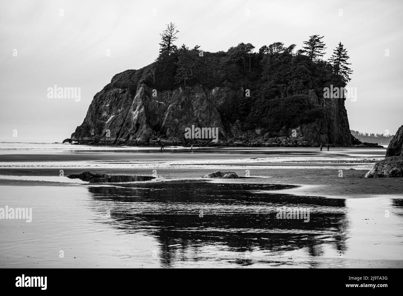 Kalaloch Beach, Olympic National Park, Forks, Ruby Beach, Washington ...